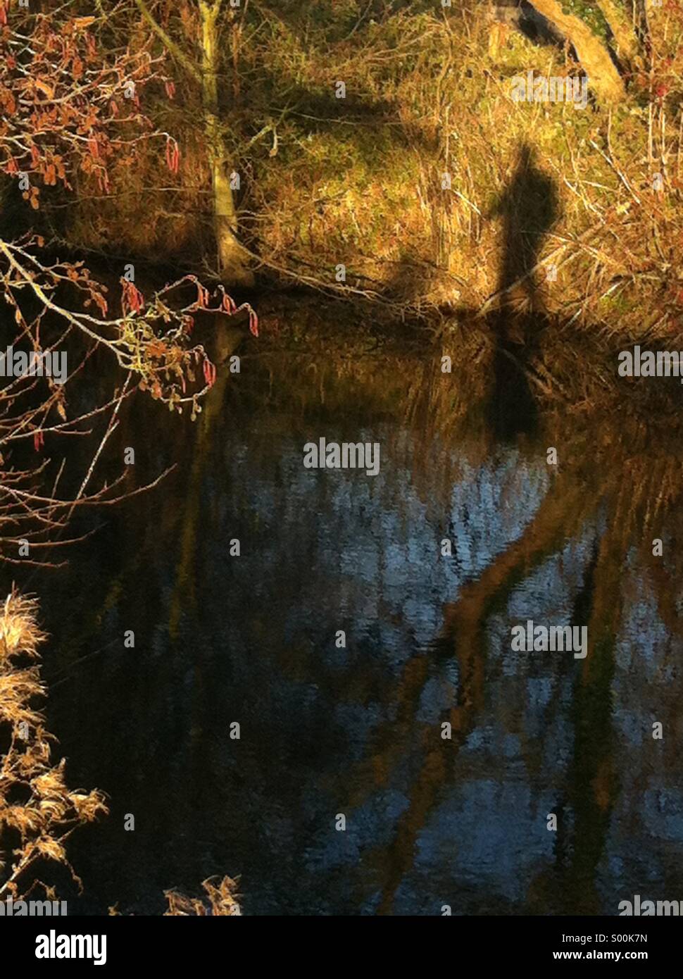 Walkers shadow on river bank Stock Photo - Alamy