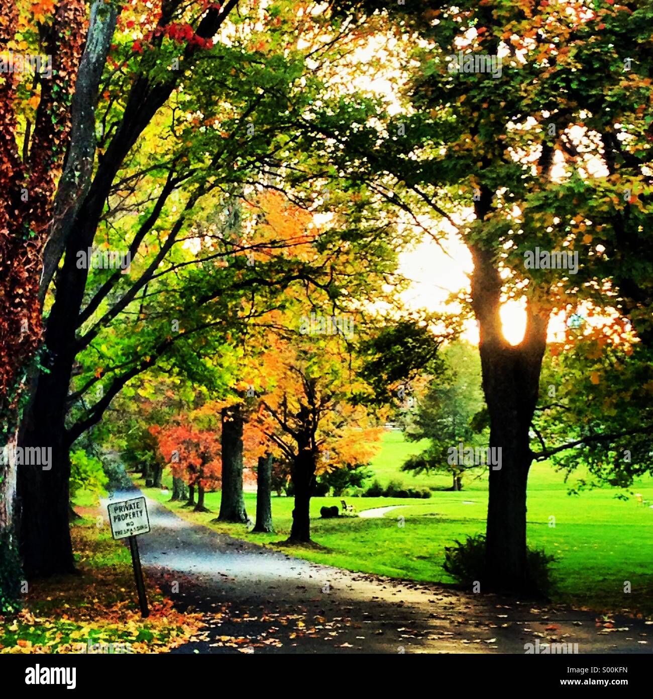 Fall Road High Resolution Stock Photography and Images - Alamy