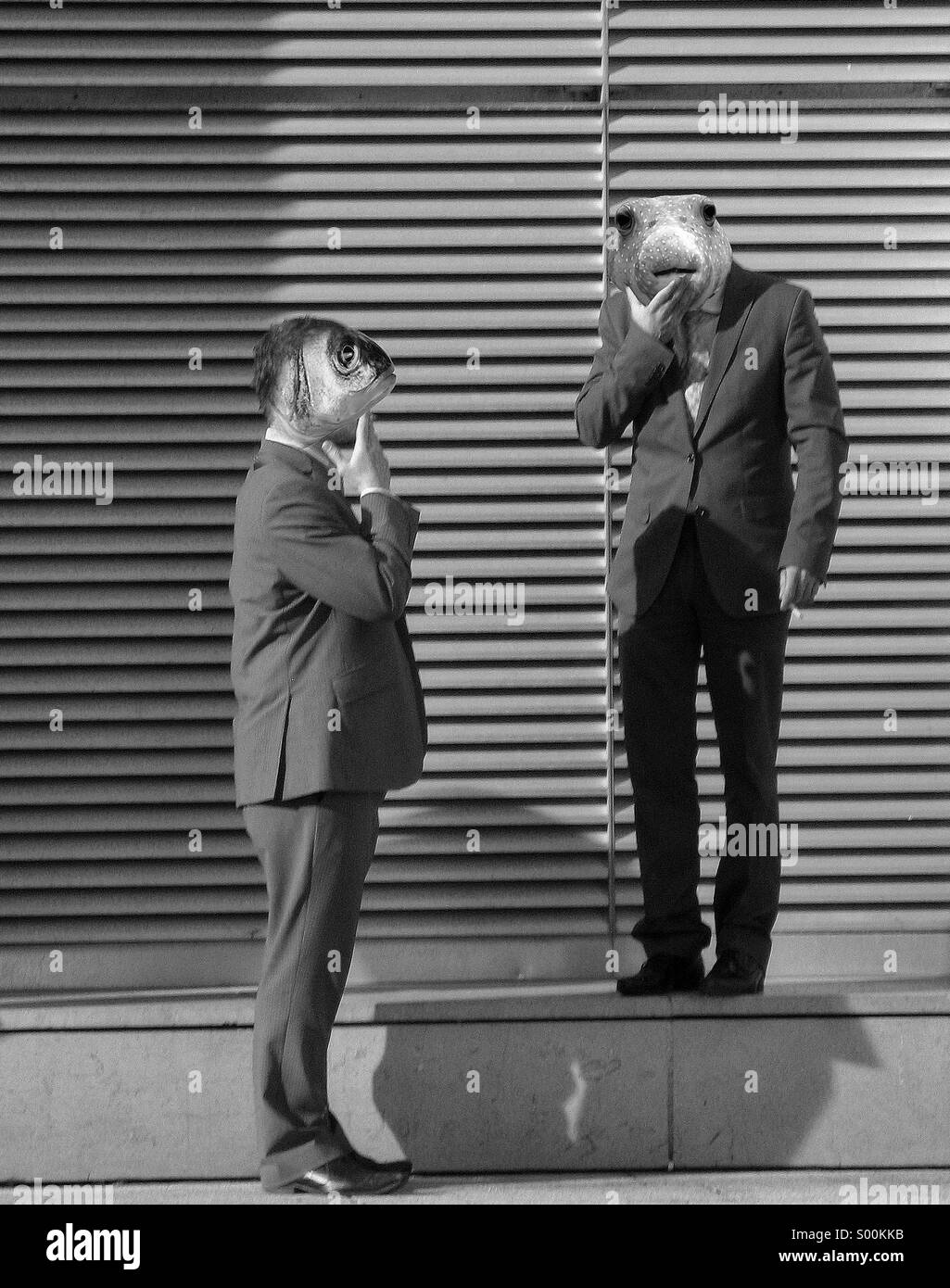 Funny fish hi-res stock photography and images - Alamy