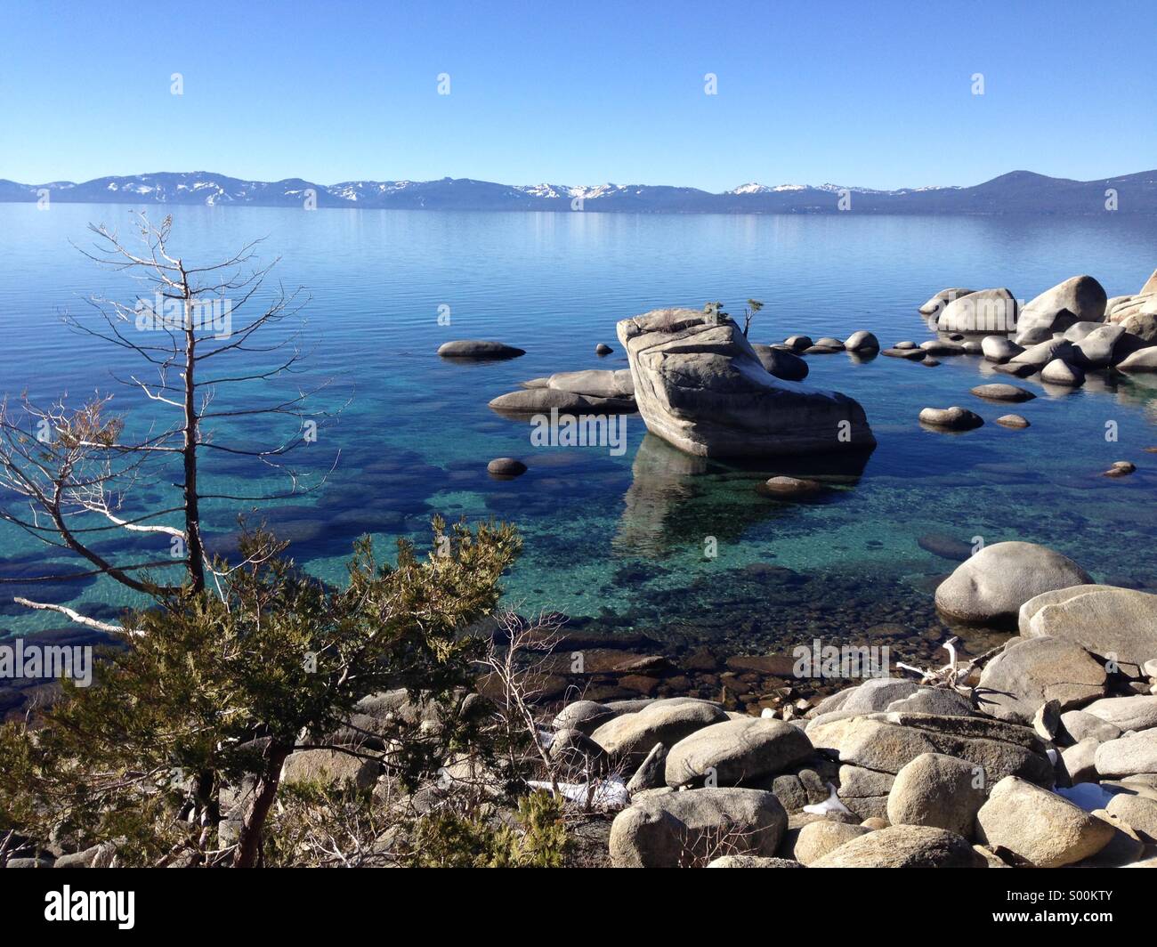 Bonsai rock lake tahoe hi-res stock photography and images - Alamy