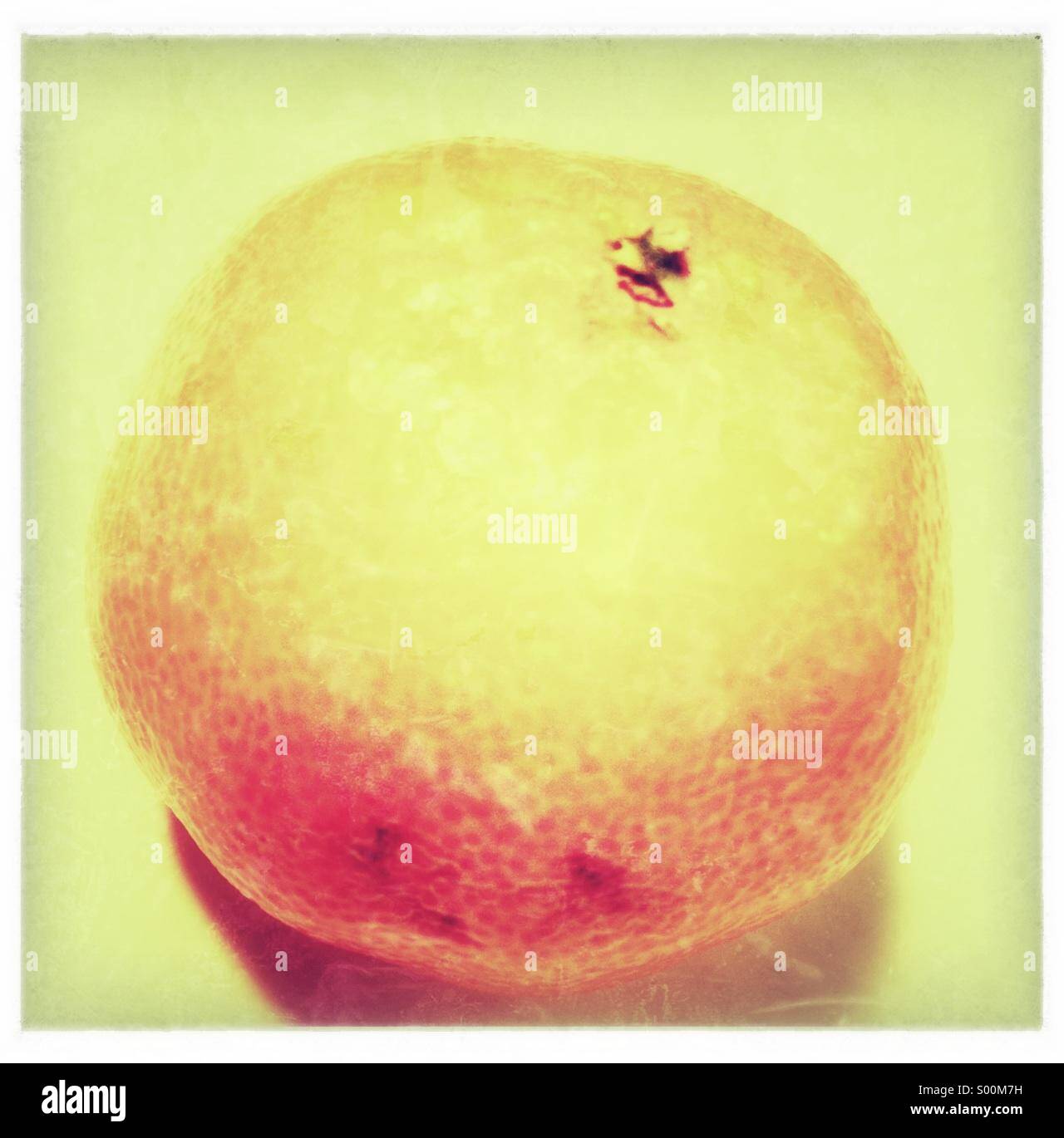 Clementine skin up close fruit hi-res stock photography and images - Alamy