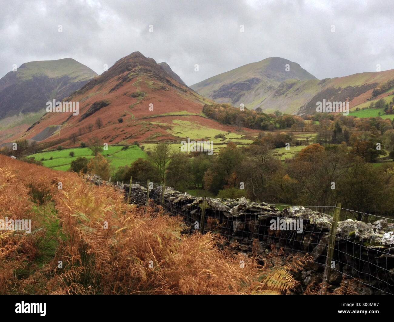 Newlands Valley in the Lake District, Cumbria, England Stock Photo - Alamy