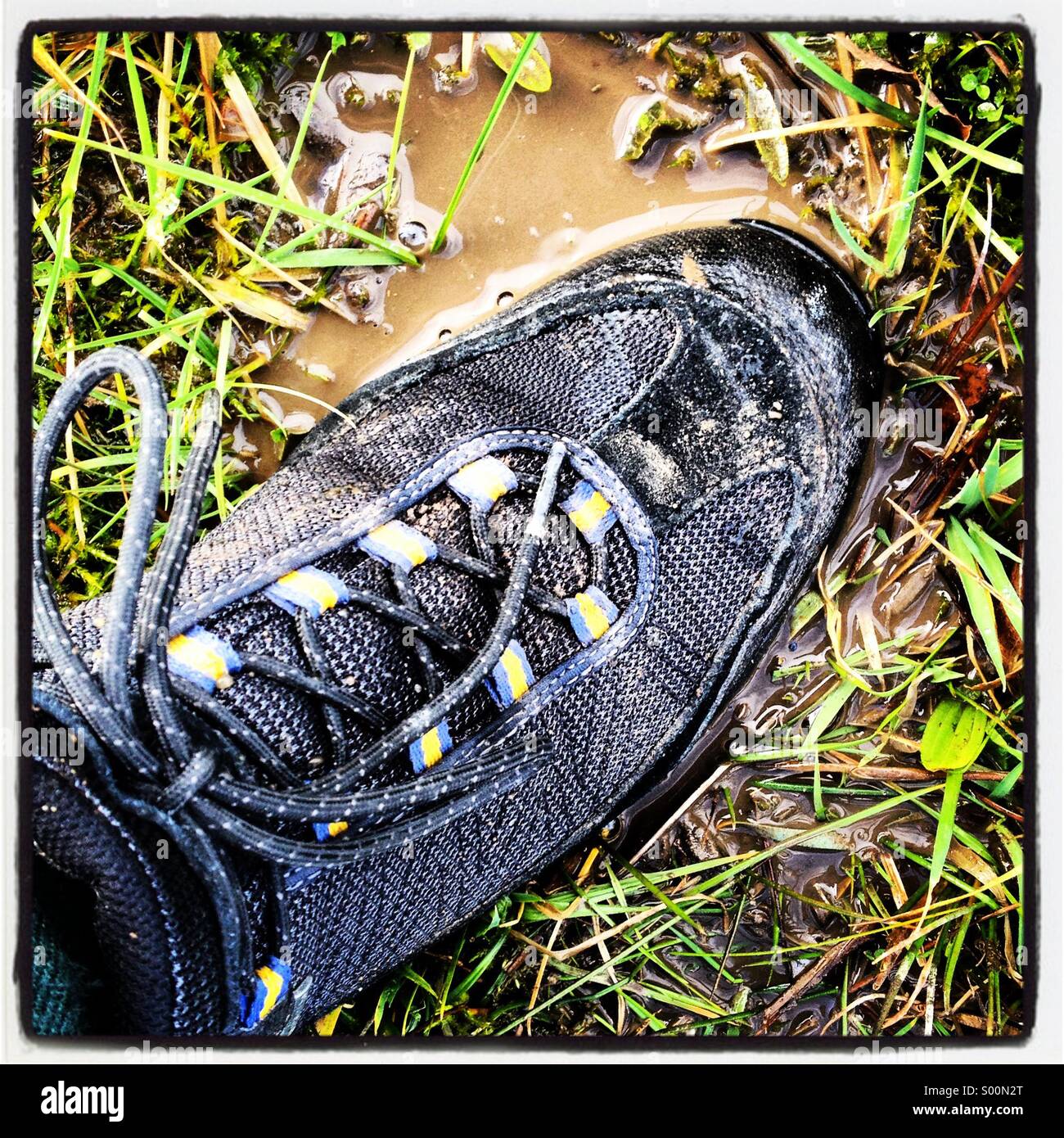 Foot on waterlogged ground due to UK flooding Stock Photo - Alamy