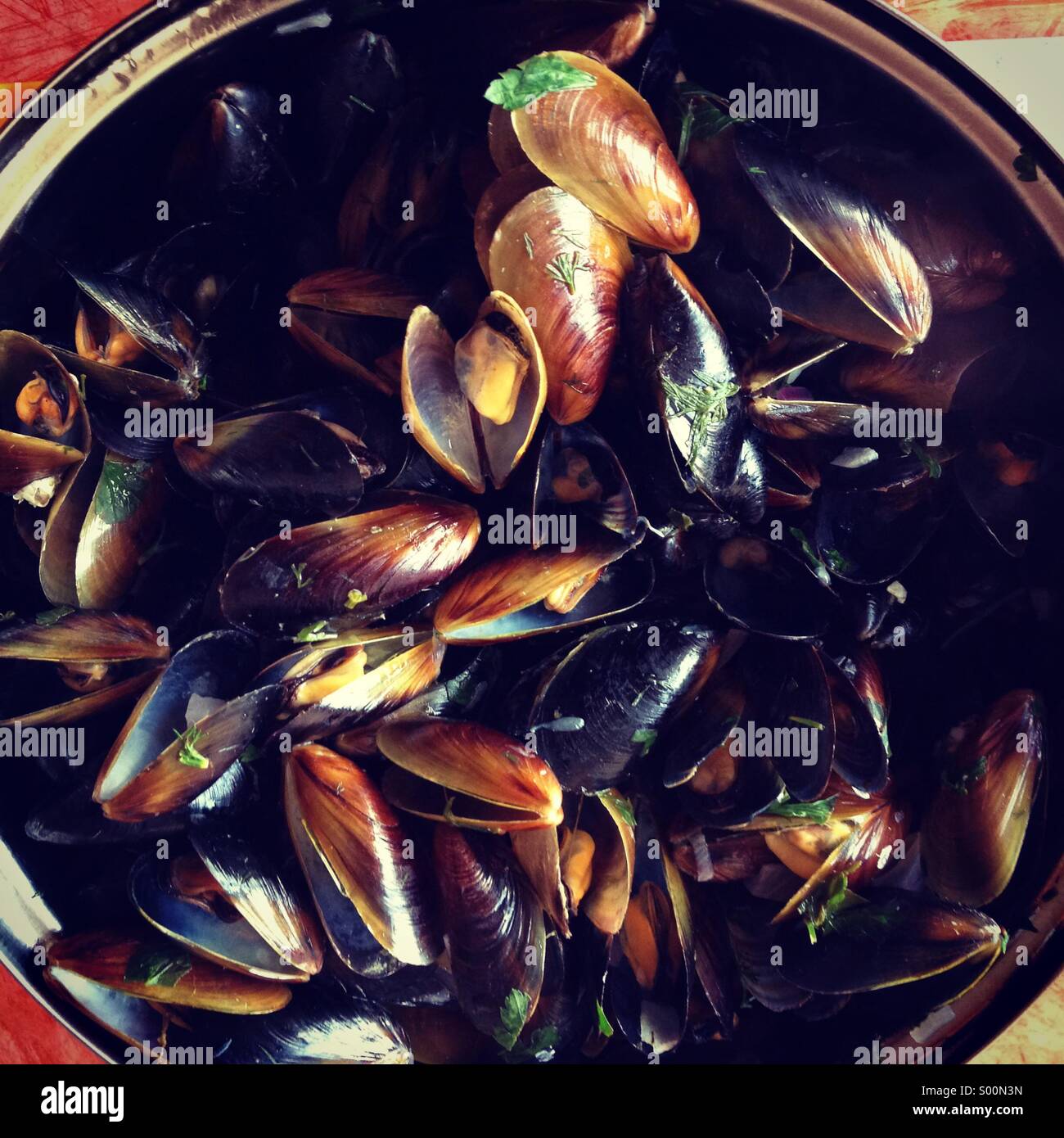 A plate of mussels, moules marinières, France Stock Photo - Alamy