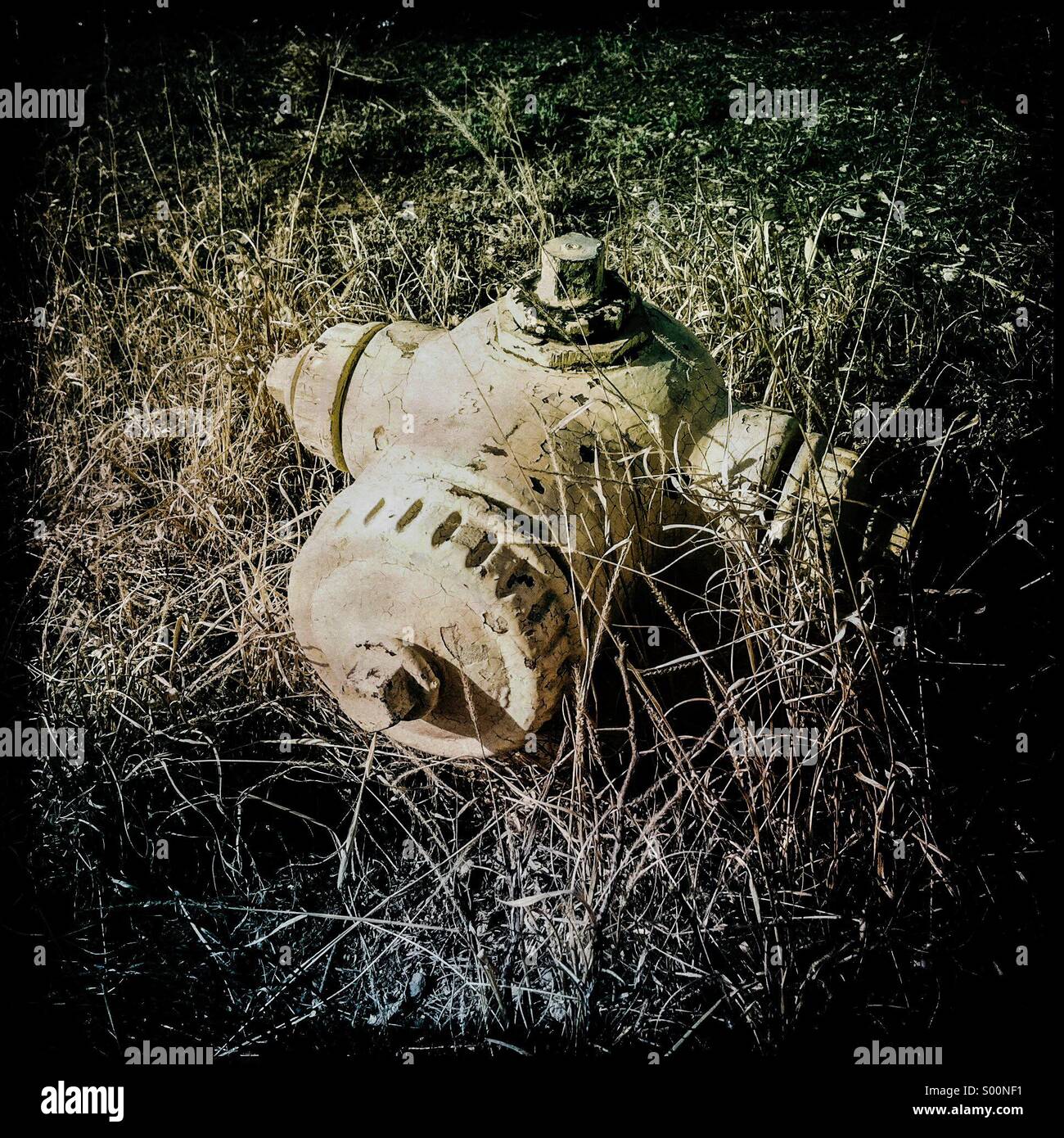 Fire hydrant in a small Texas town Stock Photo - Alamy