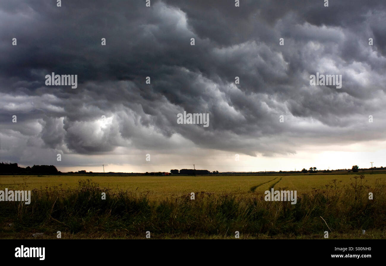 Gust hi-res stock photography and images - Alamy