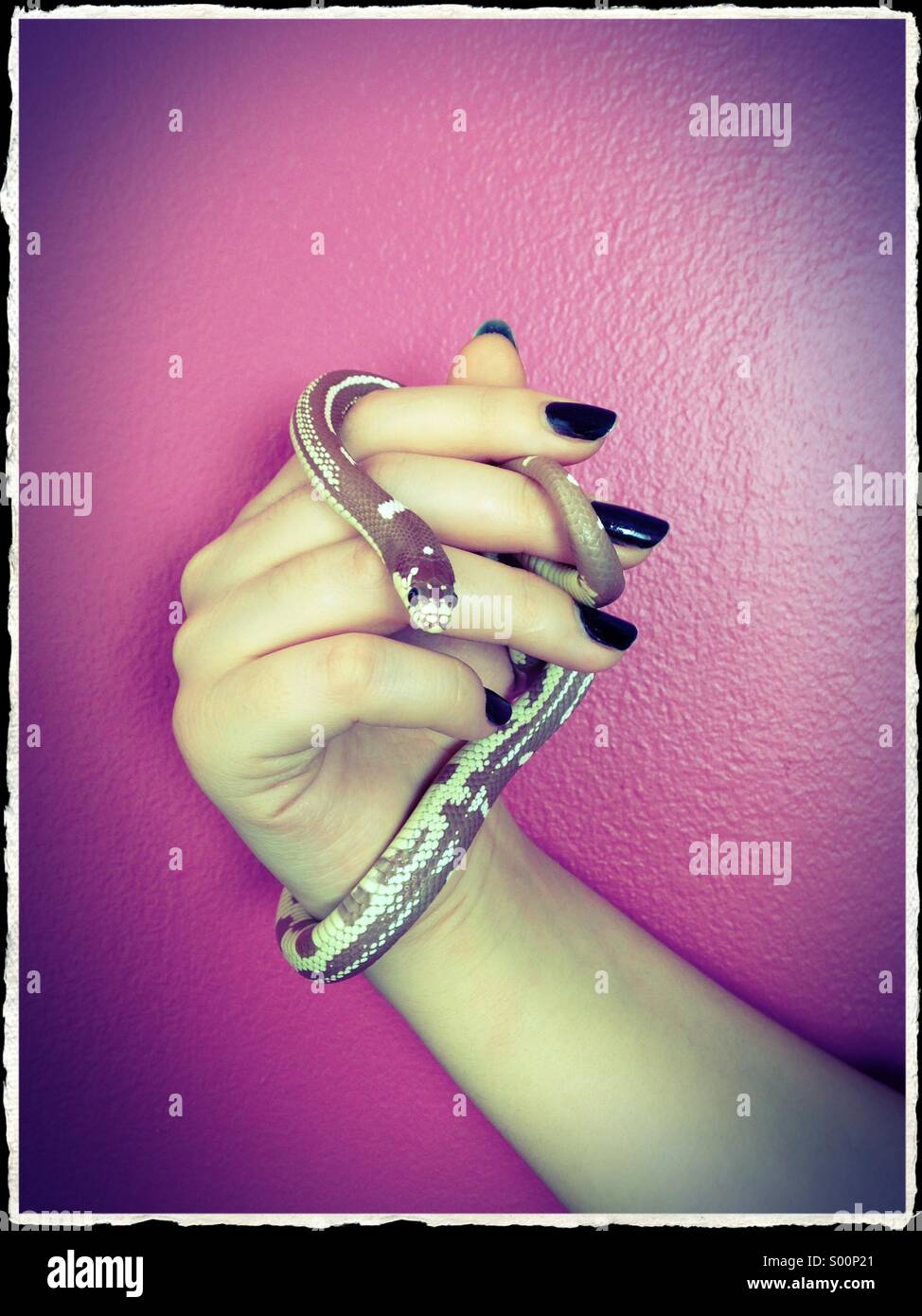 Hand Wrapped High Resolution Stock Photography and Images - Alamy