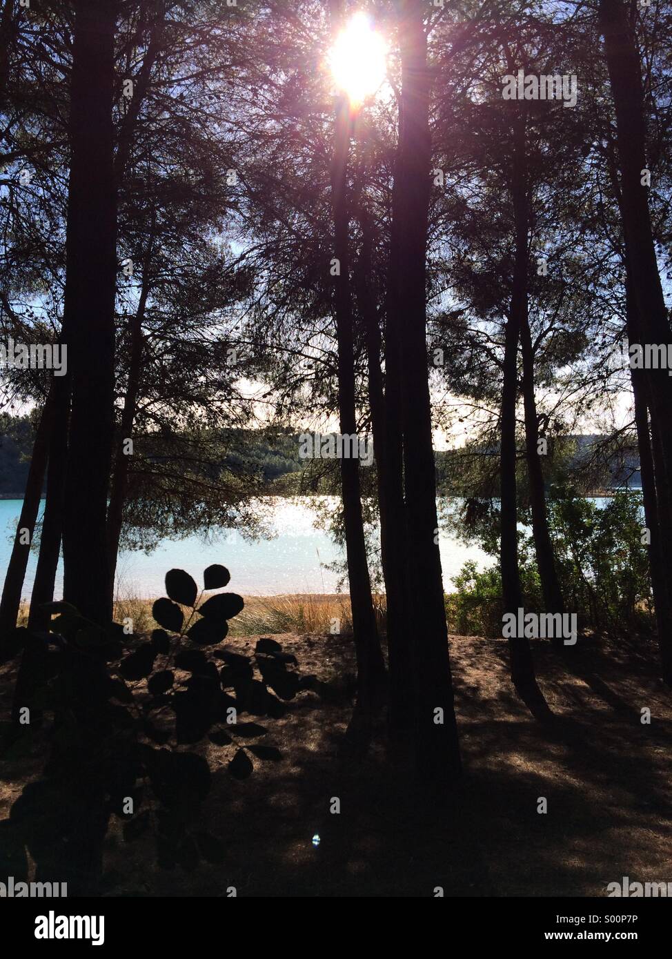 Pine mountains hi-res stock photography and images - Alamy