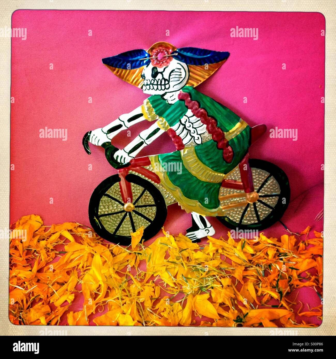 Skeleton riding a bicycle hi-res stock photography and images - Alamy