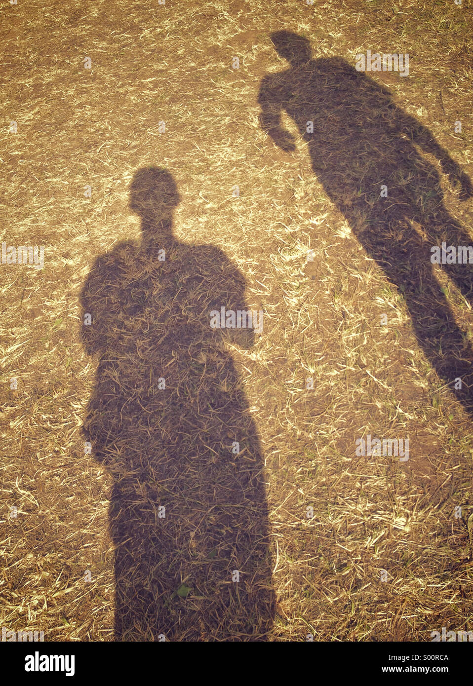 Two shadows walking in summer Stock Photo - Alamy