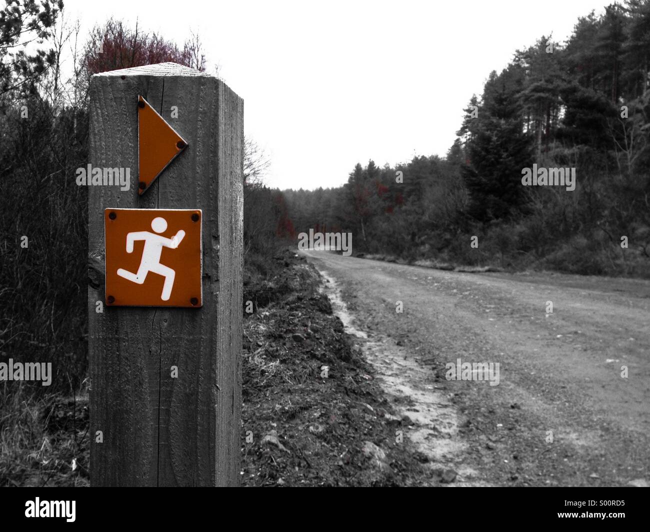 Fire road hi-res stock photography and images - Alamy