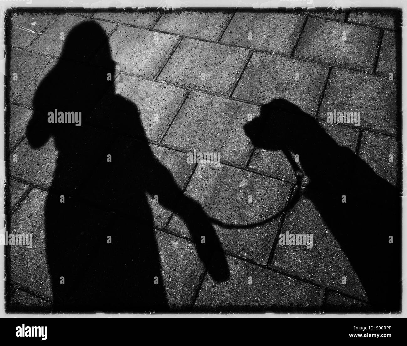 Girl shadow Black and White Stock Photos & Images - Alamy