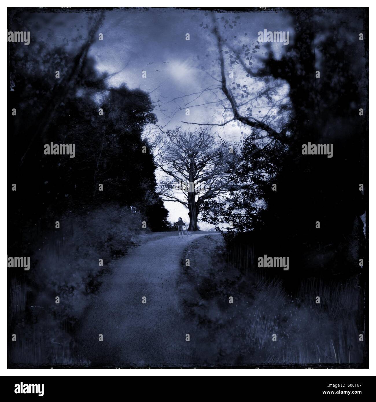 Path way at night Stock Photo - Alamy