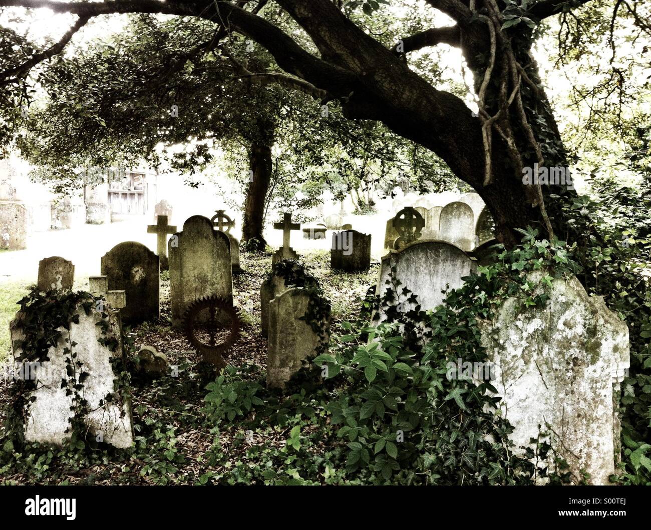 Grave of graves hi-res stock photography and images - Alamy