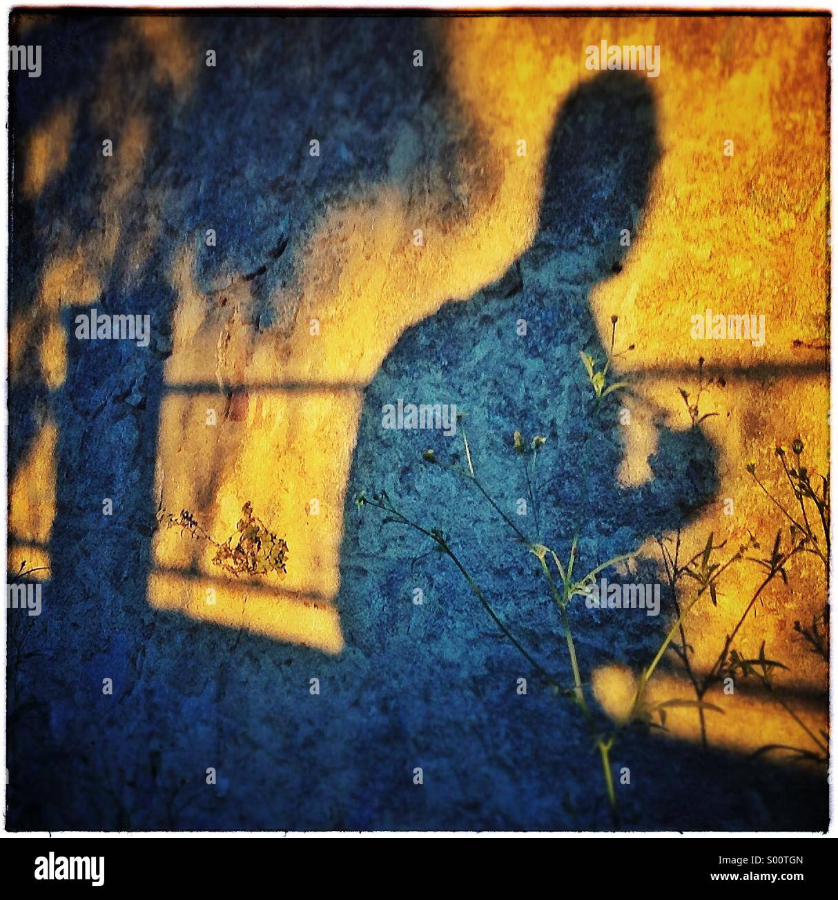 Shadow wall man hi-res stock photography and images - Alamy