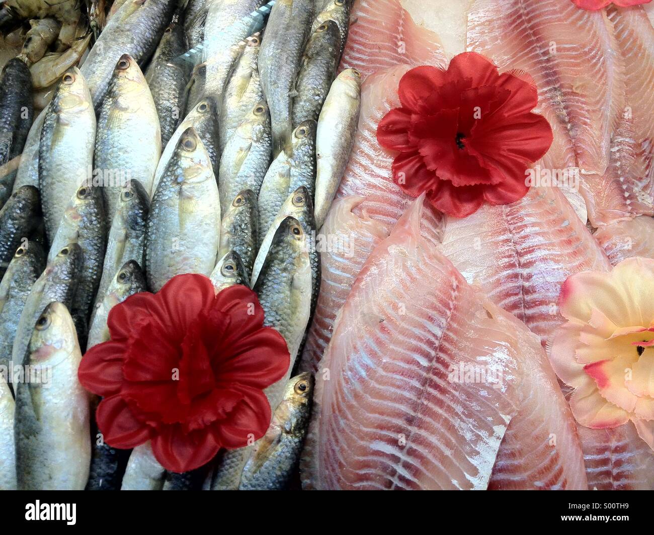 Retro fish hi-res stock photography and images - Alamy