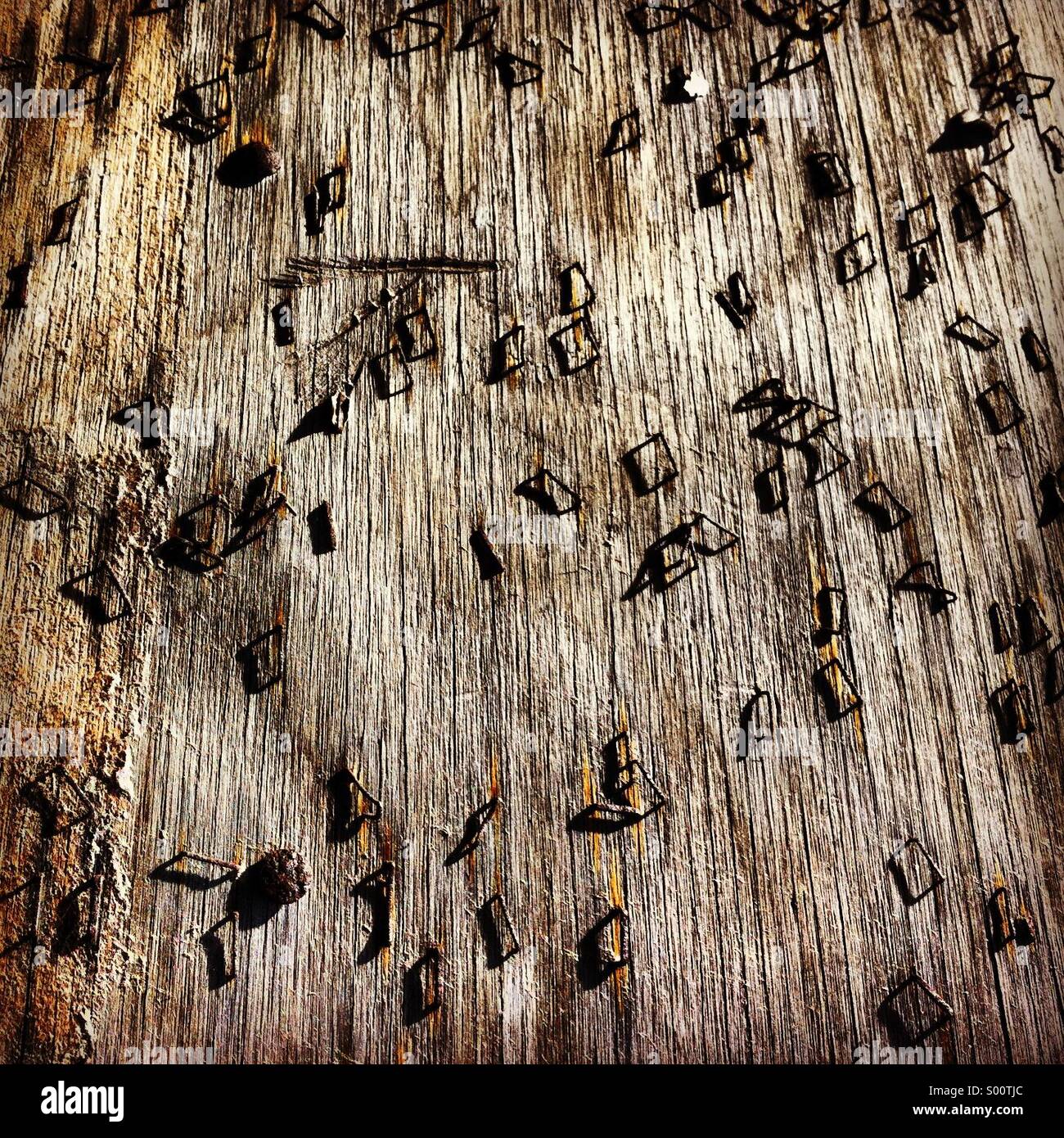 Rusted staples hi-res stock photography and images - Alamy