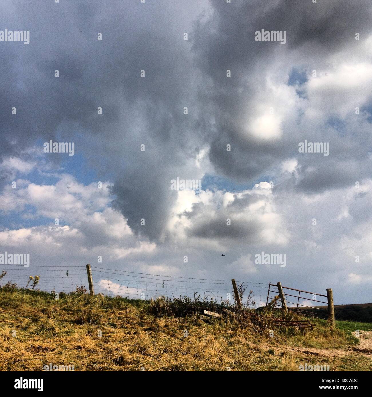 Summer afternoon in the country. Dorset, England Stock Photo - Alamy