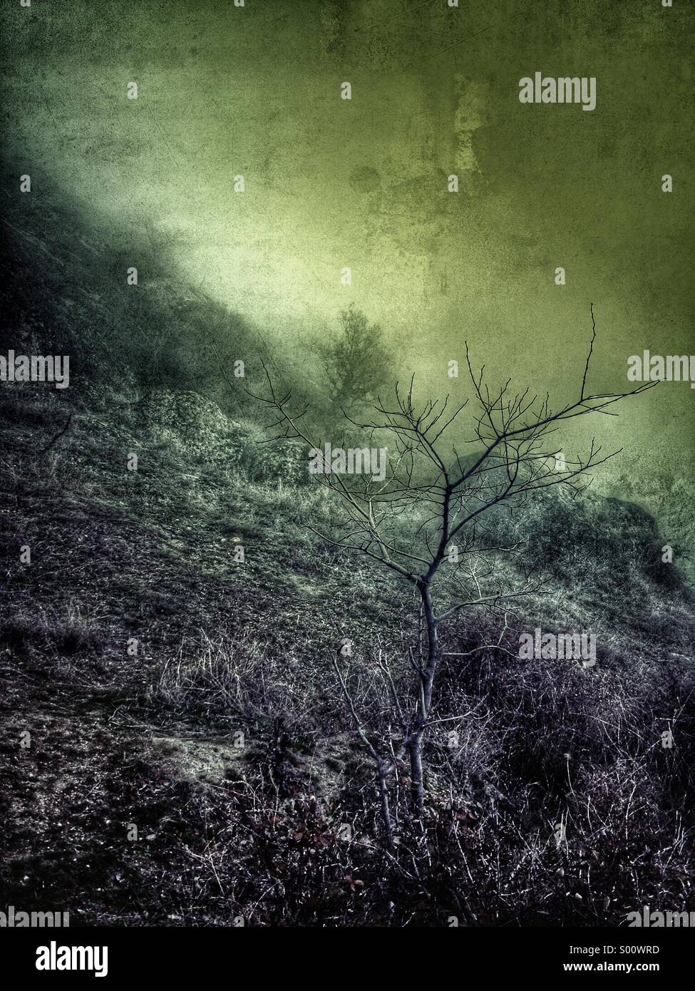 Drama nature hi-res stock photography and images - Alamy