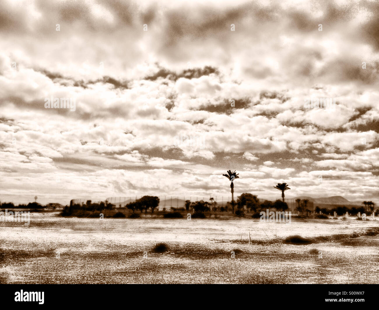 Cloudy sky with trees hi-res stock photography and images - Alamy