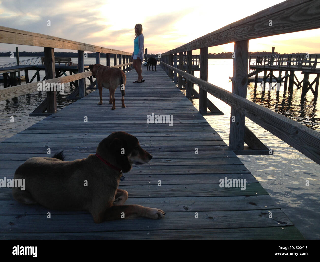 Woman and dog on pier hi-res stock photography and images - Alamy