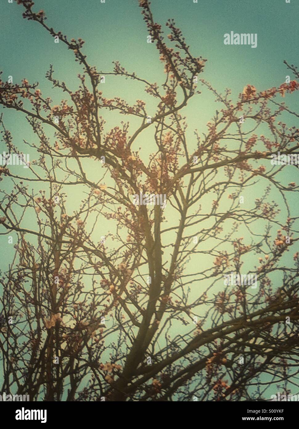 Spring Stock Photos & Images from Alamy