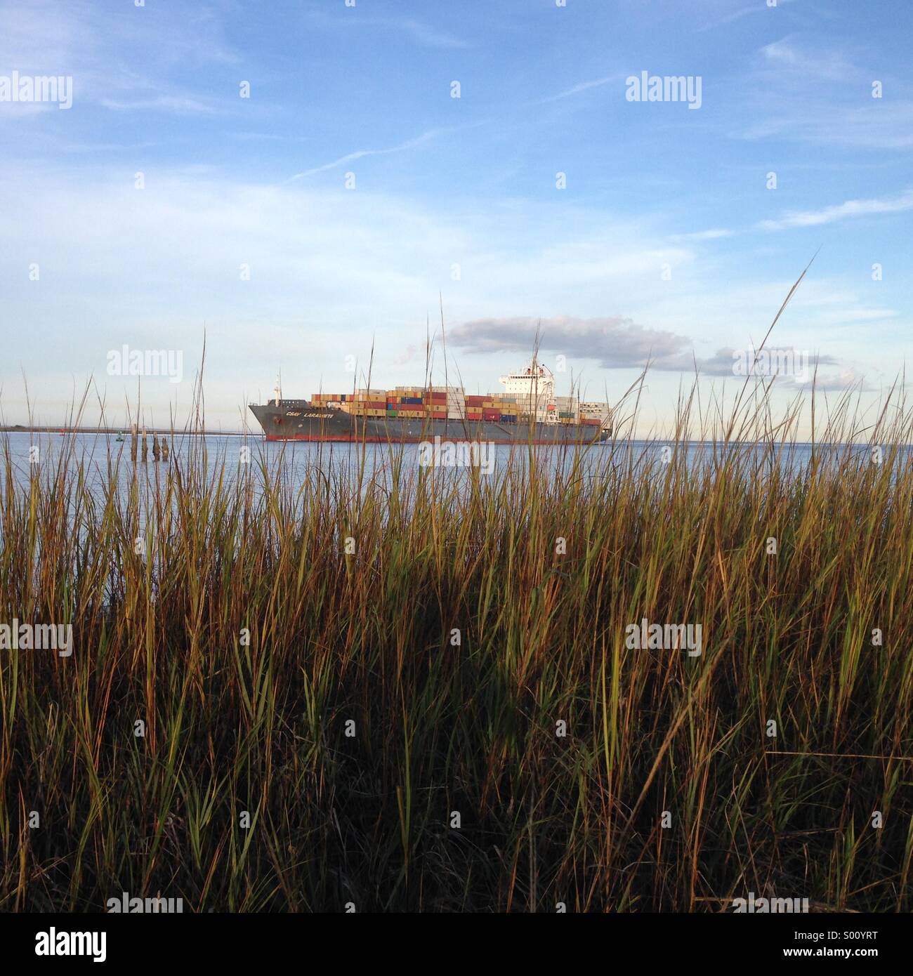 Savannah salt marsh hi-res stock photography and images - Alamy