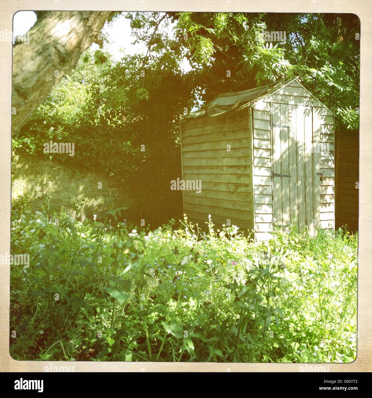 Garden shed hi-res stock photography and images - Alamy