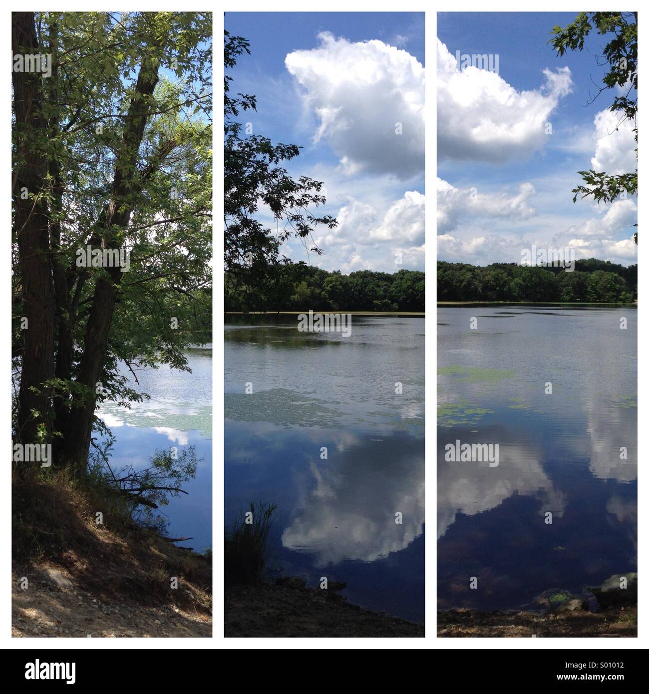 Trees and water Stock Photo - Alamy