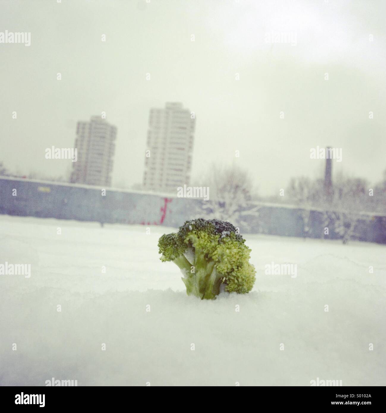 new city development Stock Photo - Alamy