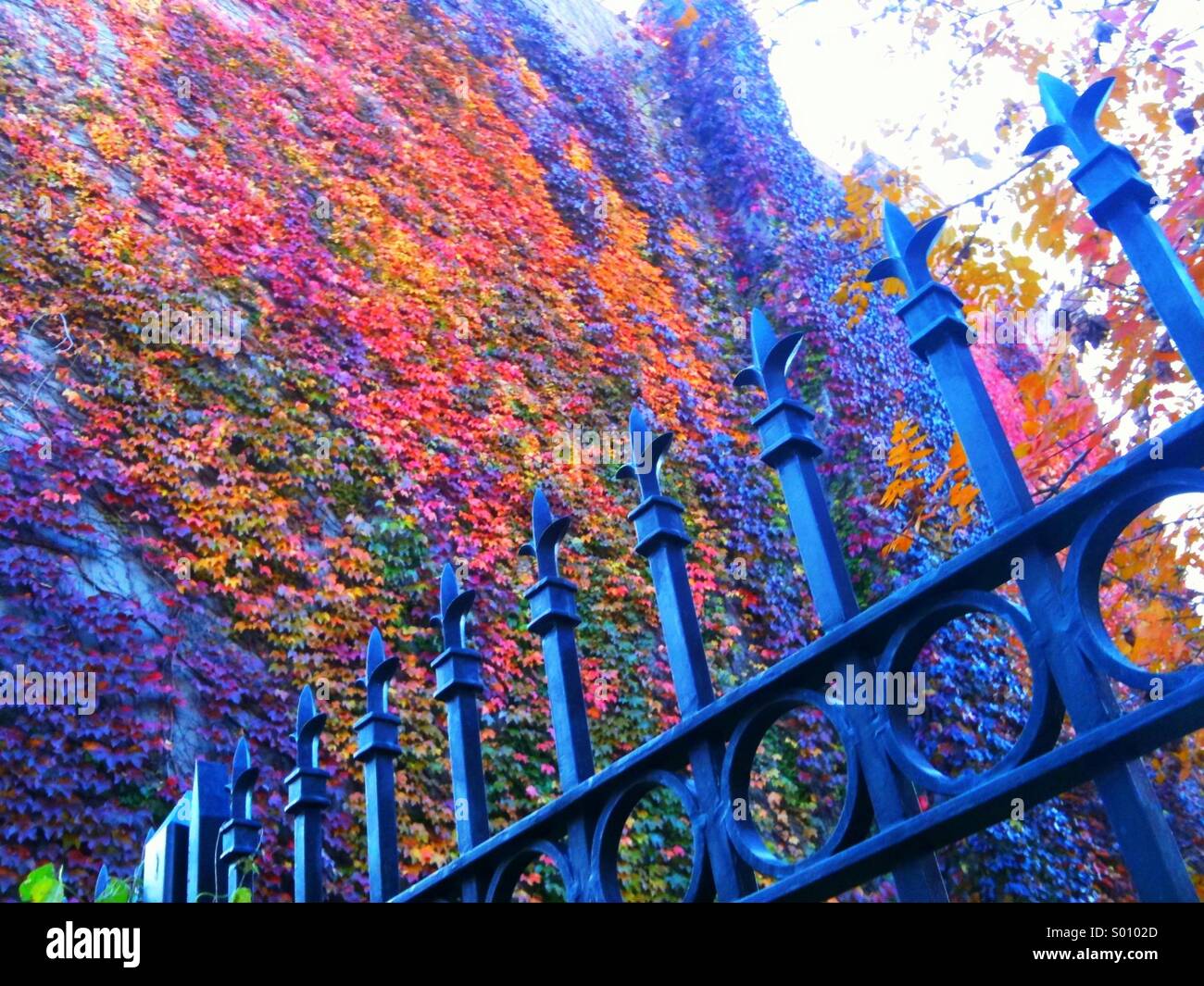 Foliage changing colors hi-res stock photography and images - Alamy