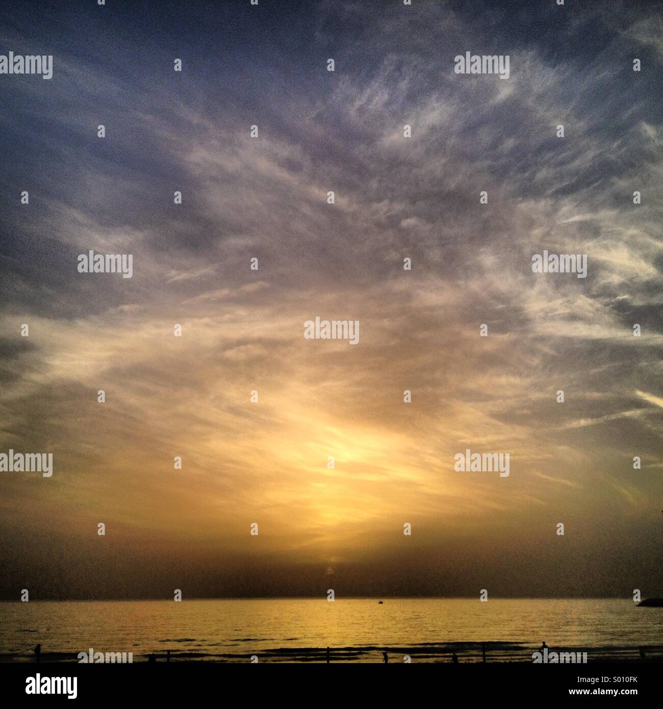 Lebanon mesh hi-res stock photography and images - Alamy