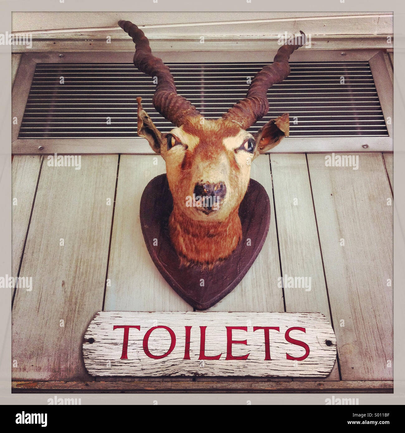 Pub toilet sign hi-res stock photography and images - Alamy