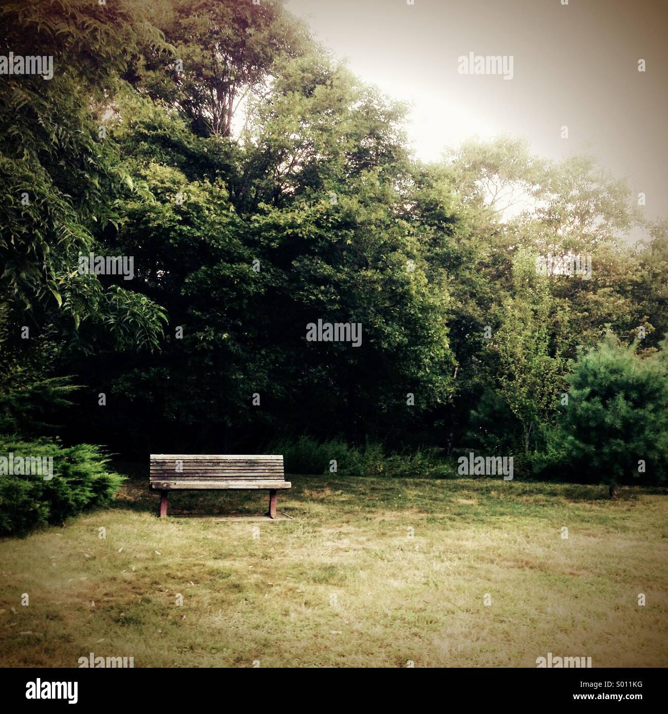 Park bench hi-res stock photography and images - Alamy