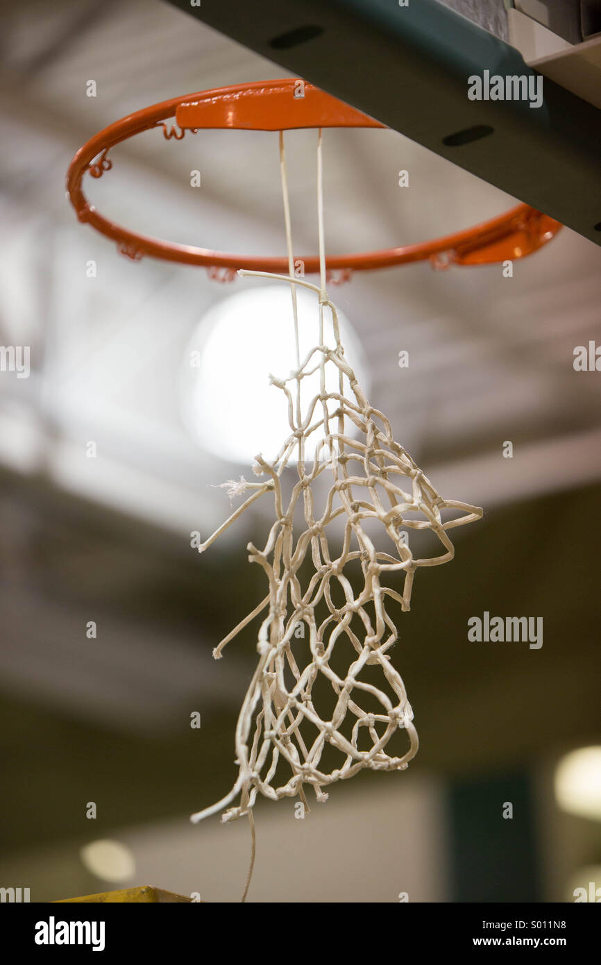 Net cutting after a conference win hi-res stock photography and images ...