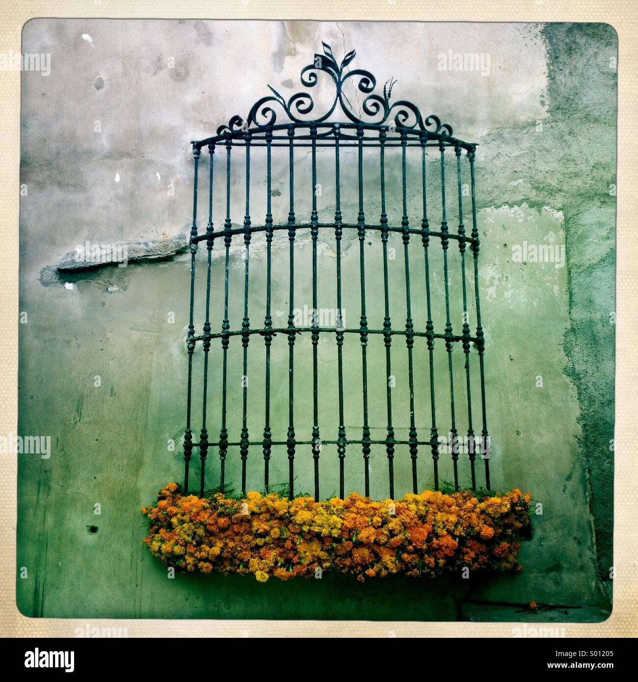 Window bars decorated with marigold flowers are exhibited in an art ...
