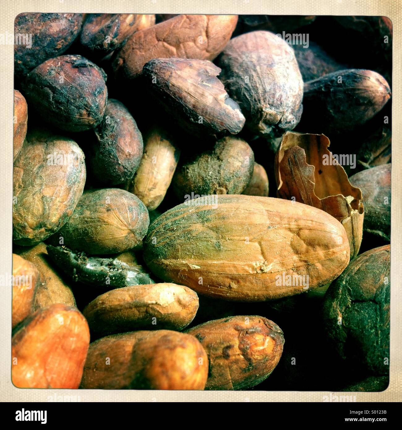Cocoa seeds from Chiapas for sale in Oaxaca, Mexico Stock Photo - Alamy