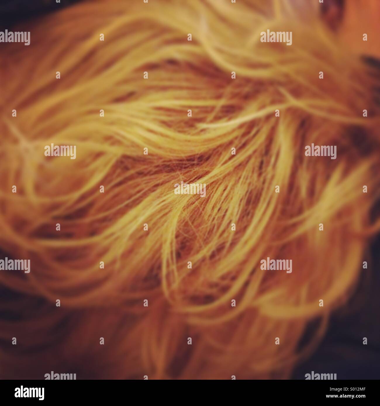 Thick wavy hair hi-res stock photography and images - Alamy