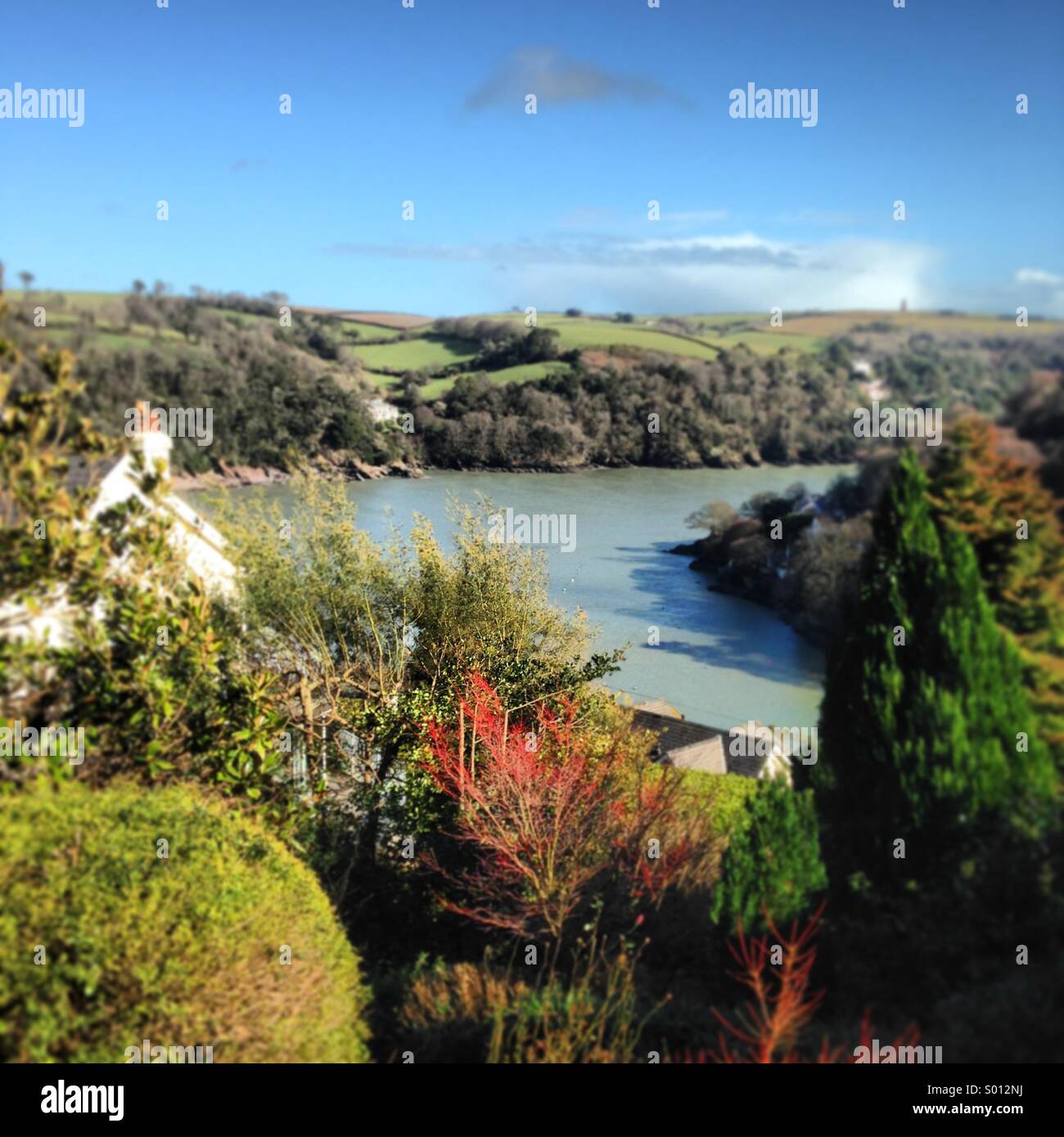 View of the beautiful River Dart and Warfleet Creek from woodland high ...