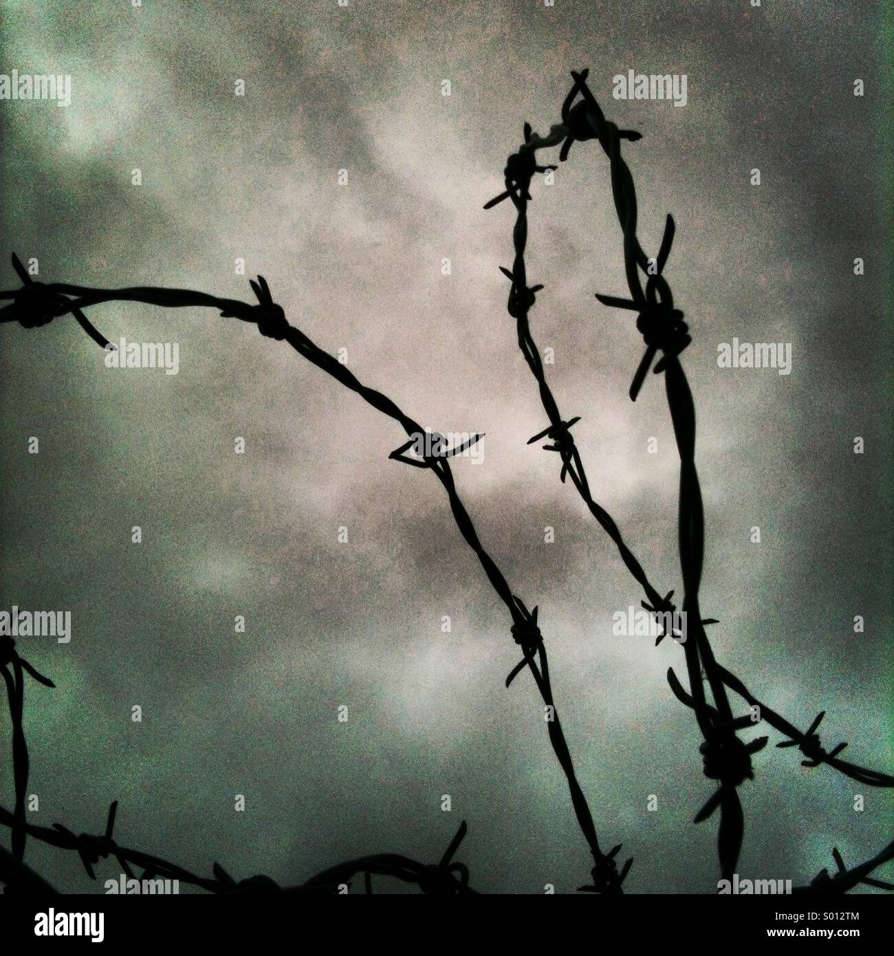 Wire loop hi-res stock photography and images - Alamy