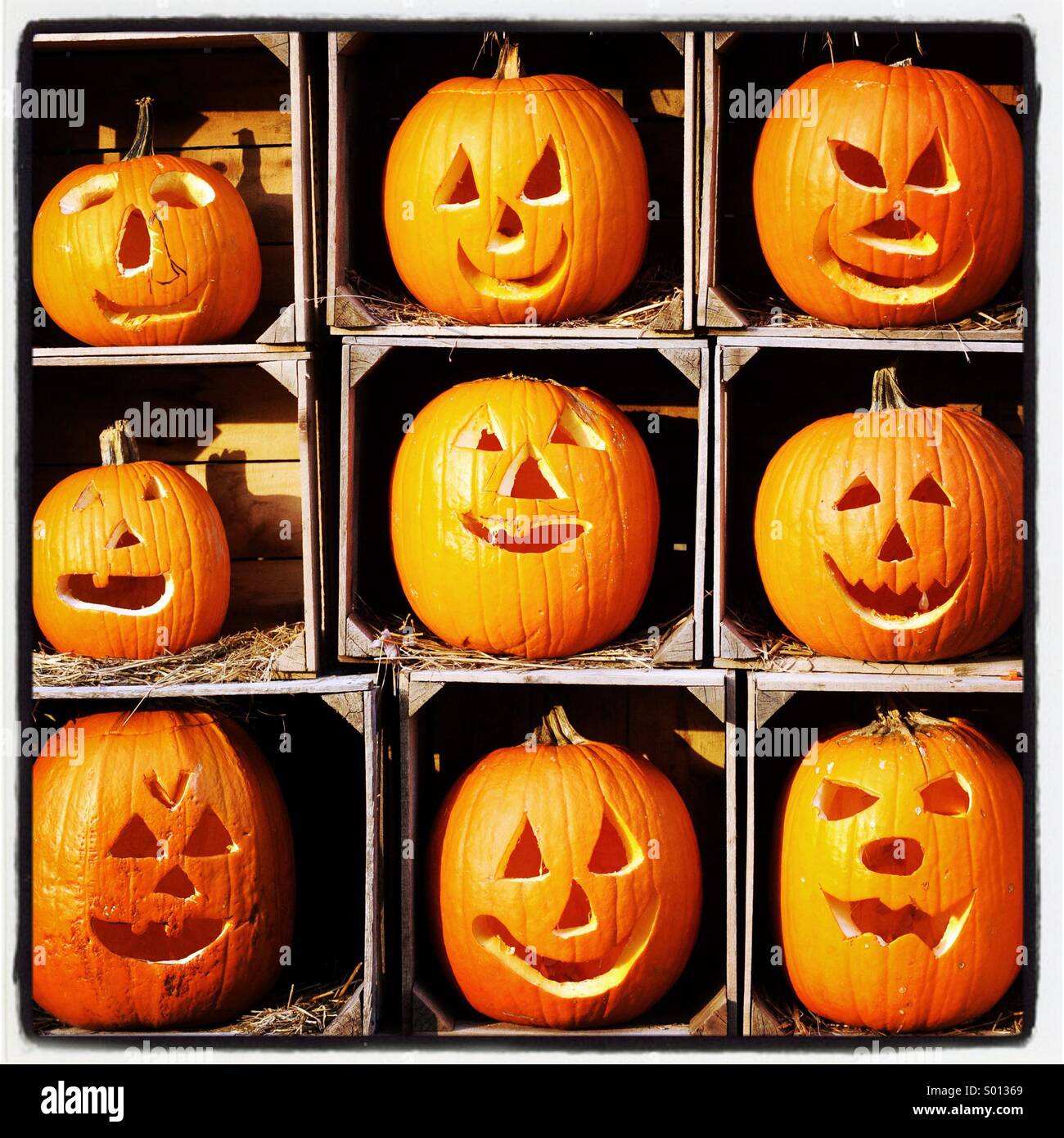 9 pumpkins carved into faces Stock Photo - Alamy