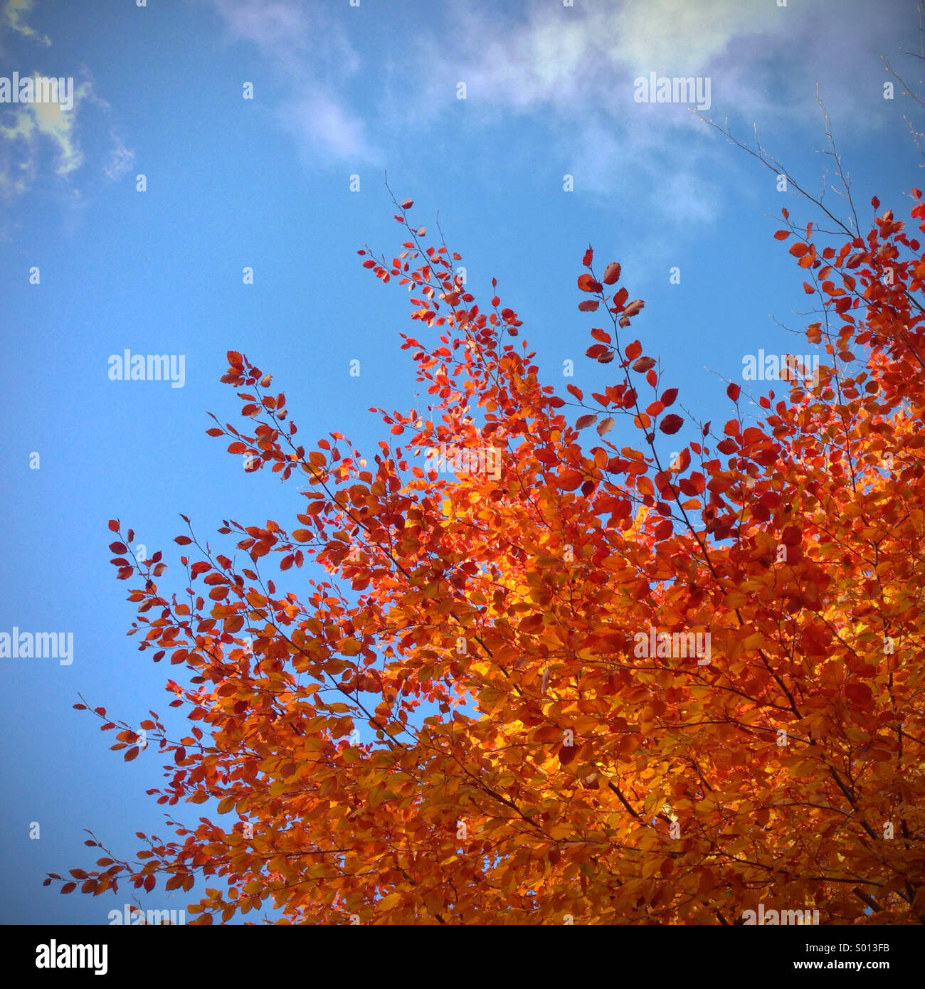 Fiery blue hi-res stock photography and images - Alamy