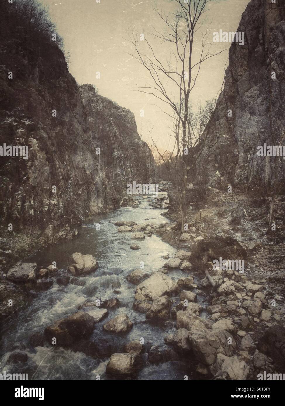 Colloid hi-res stock photography and images - Alamy