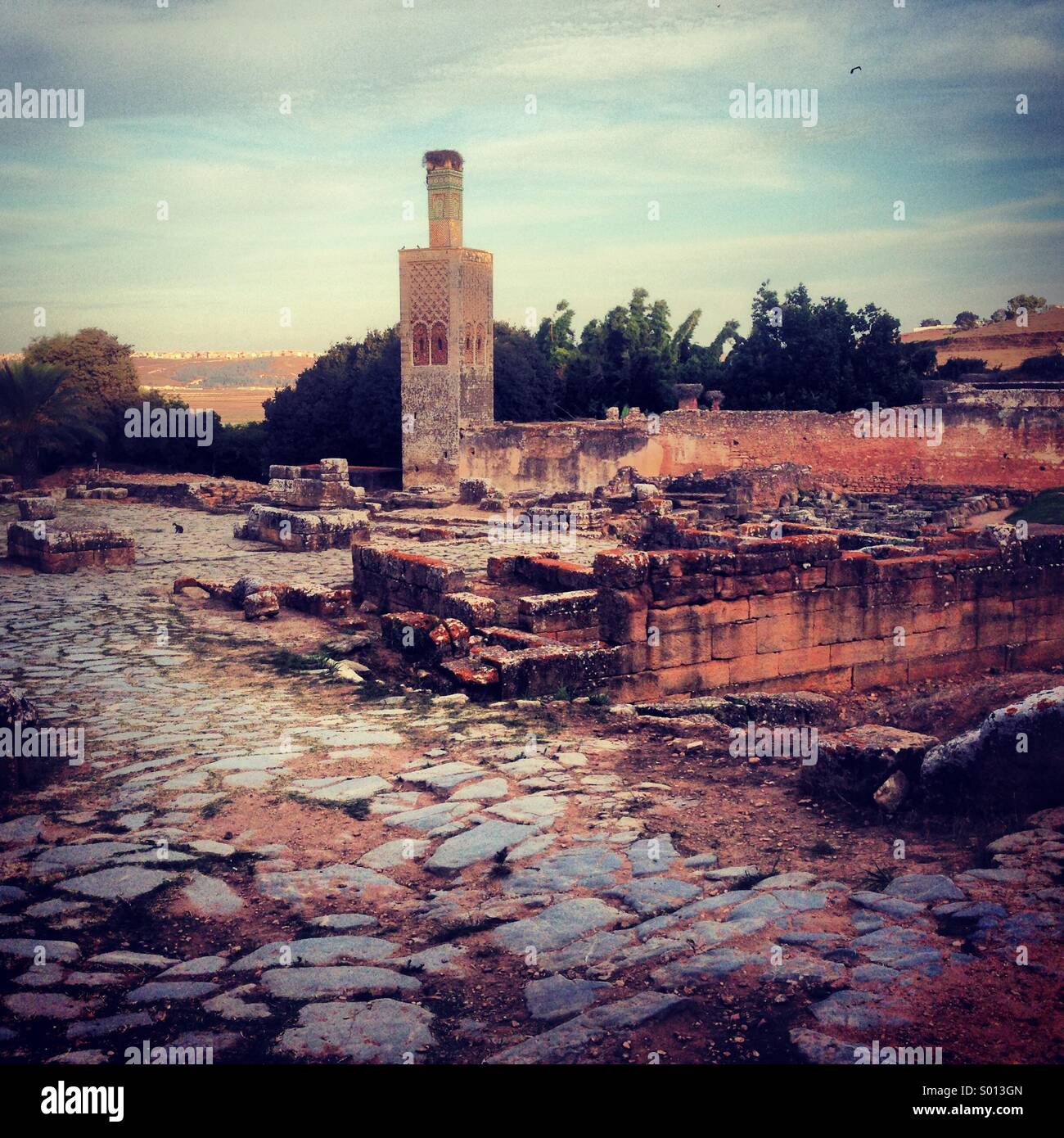 Chellah, Rabat, Morocco Stock Photo - Alamy