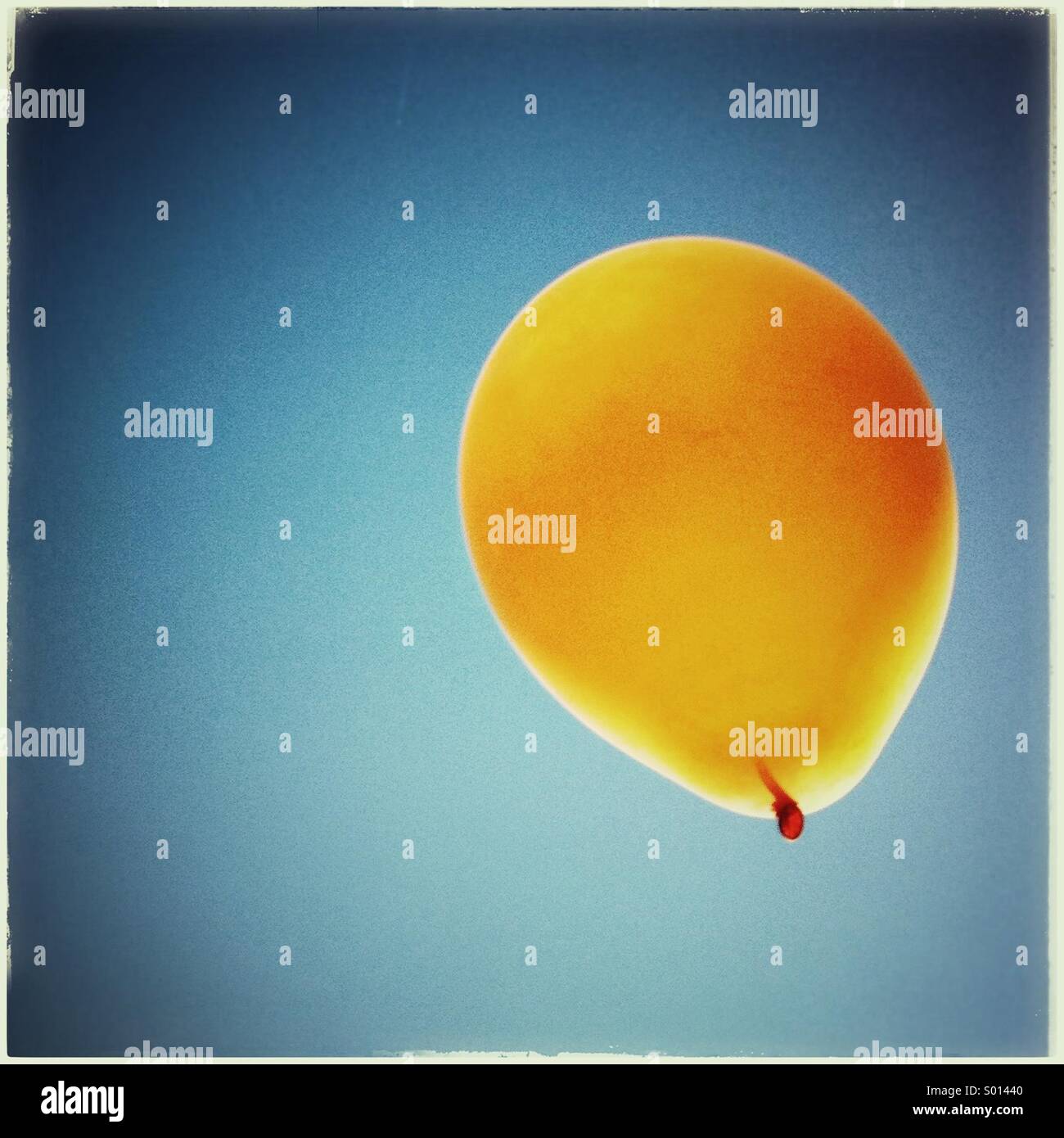 Free hi-res stock photography and images - Alamy