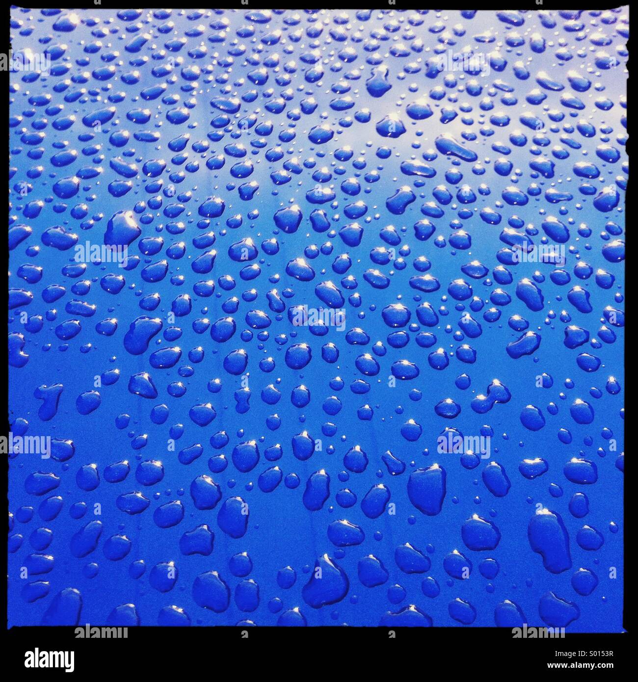 Water drops on car bonnet hi-res stock photography and images - Alamy