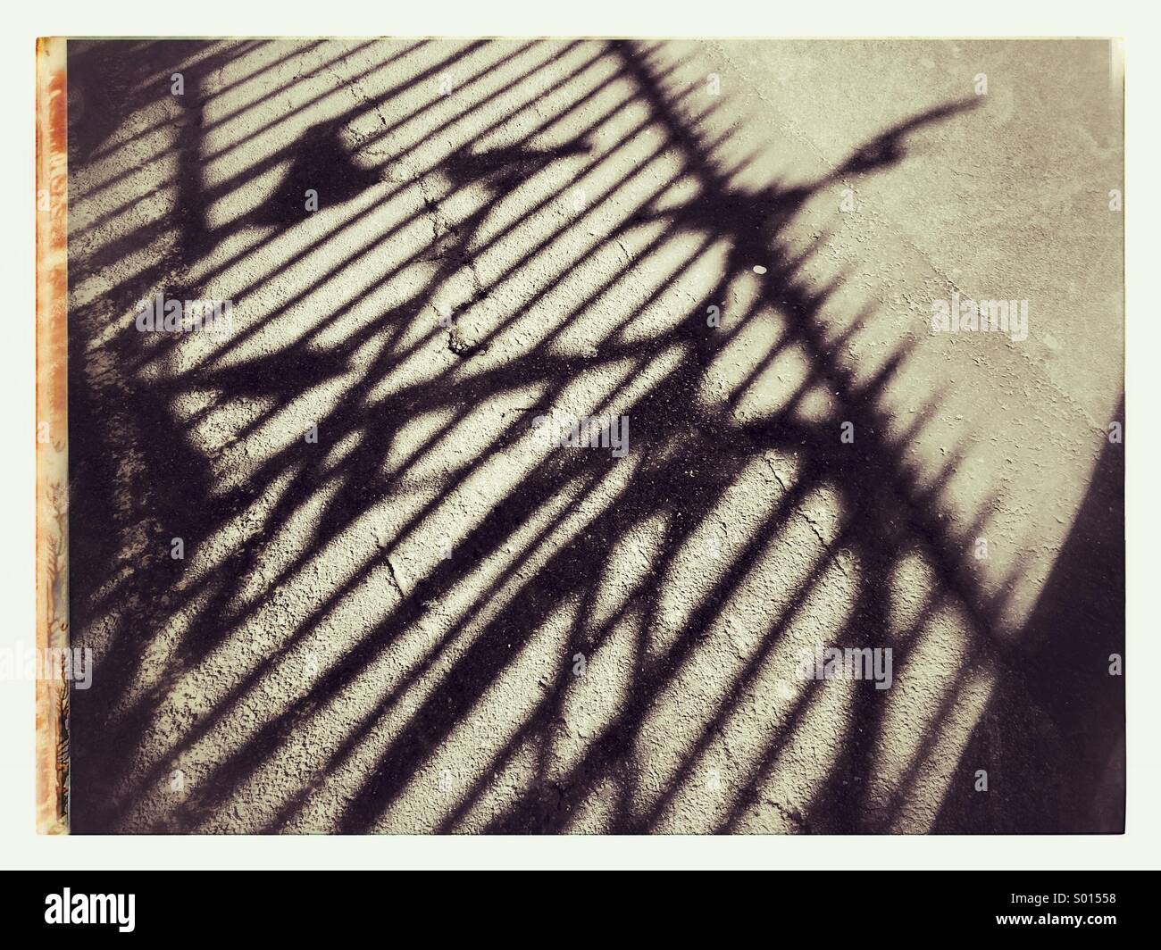Shadow bike hi-res stock photography and images - Alamy