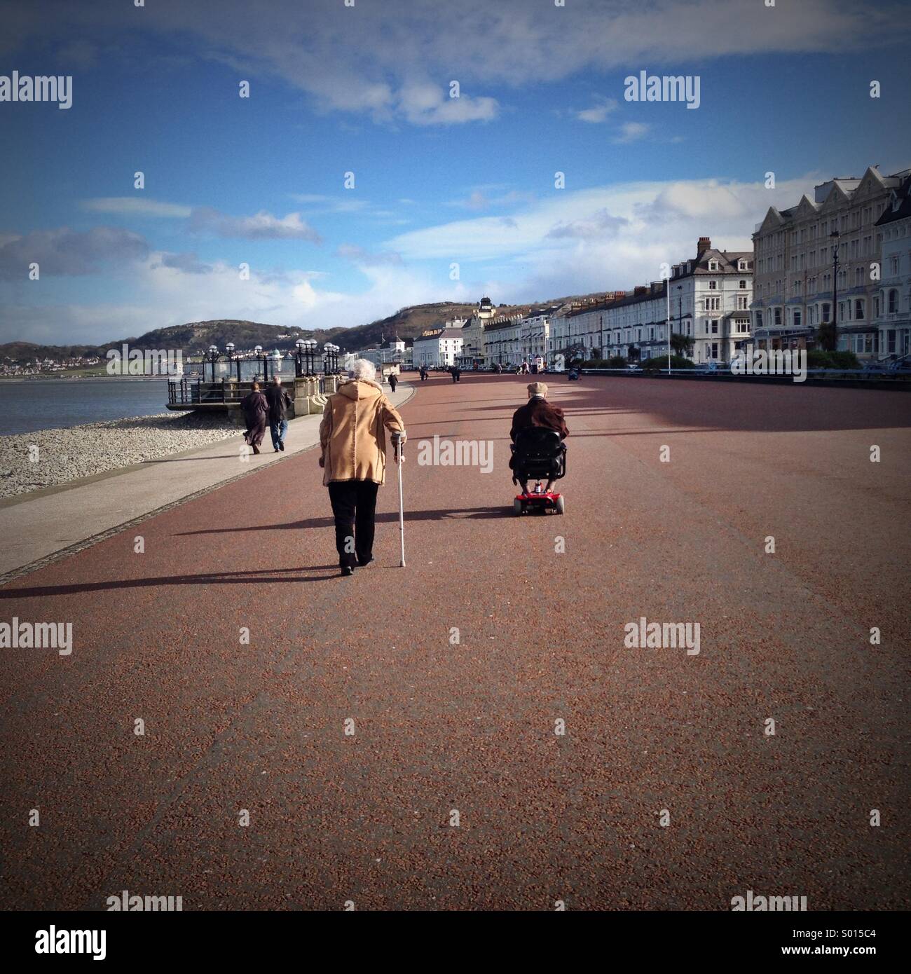 Hare and tortoise race hi-res stock photography and images - Alamy