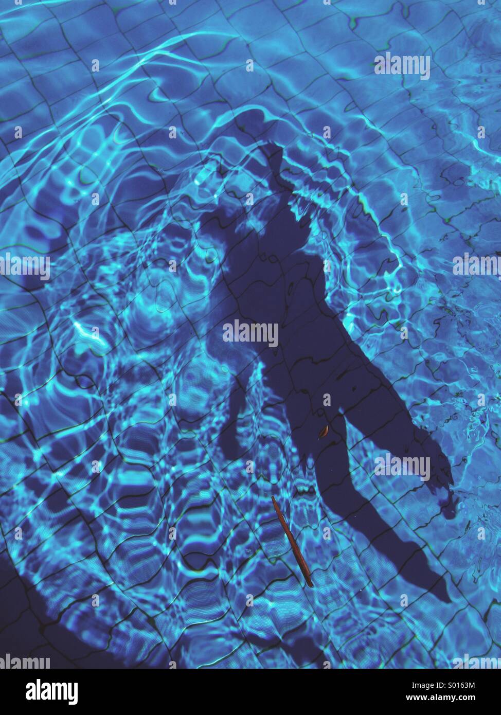 Shadow of a swimmer on the bottom of a pool Stock Photo - Alamy