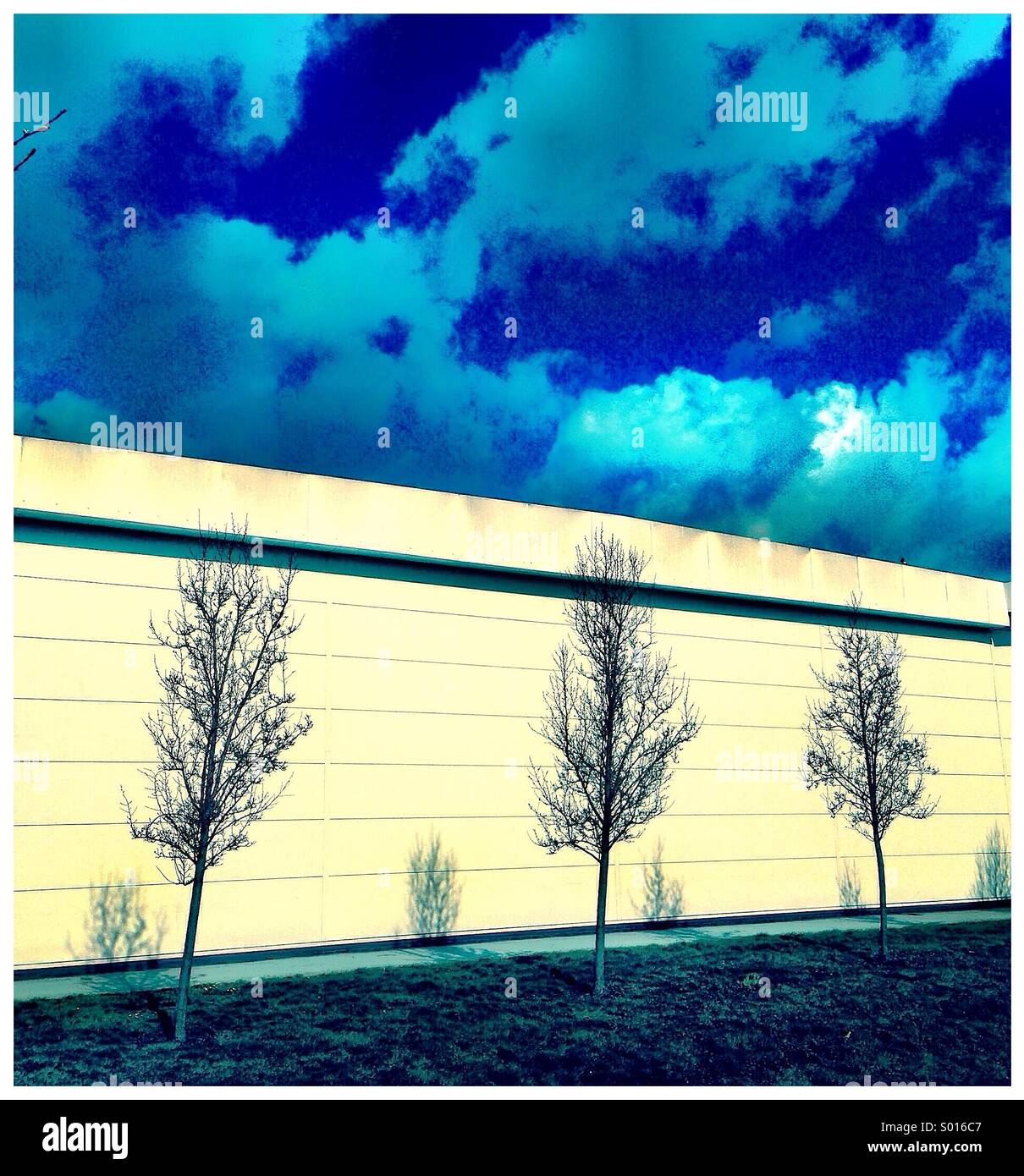 Trees and white wall Stock Photo - Alamy